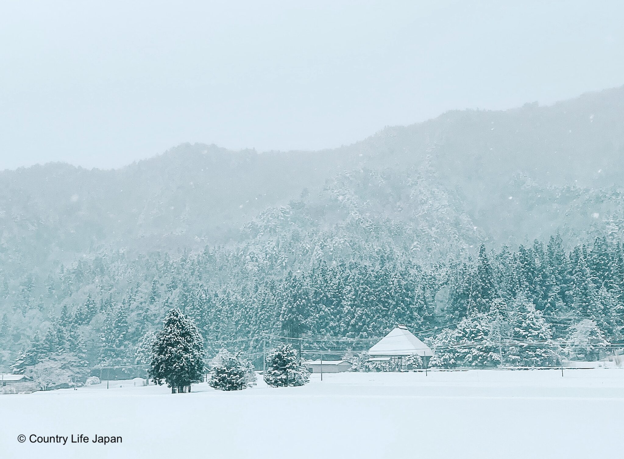 5 important factors when searching for an akiya. | Country Life Japan